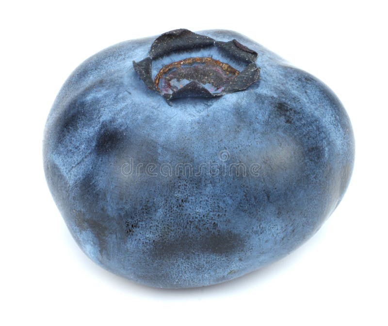 One Blueberry Closeup Isolated On White Stock Photo - Image of ...