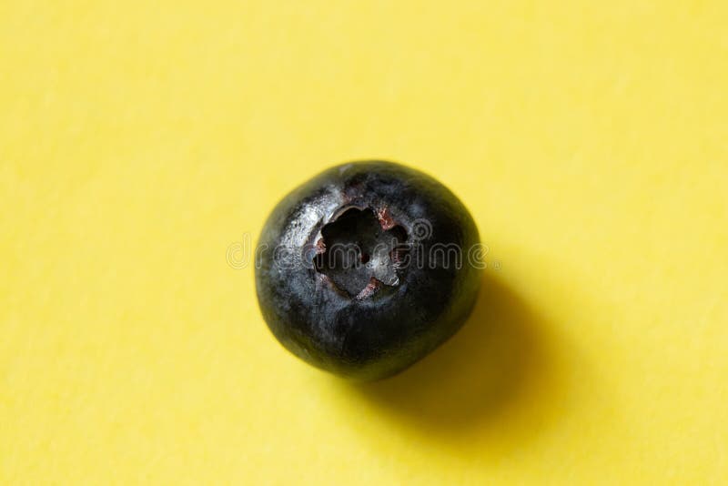 One Blueberry Light Colored Background Close Up Stock Photos - Free ...