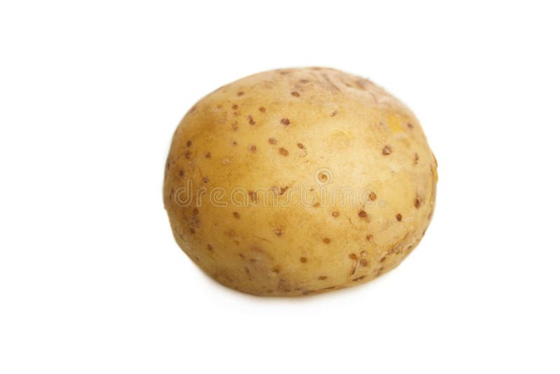 One boiled young potato stock image. Image of cook, boiled - 149537217