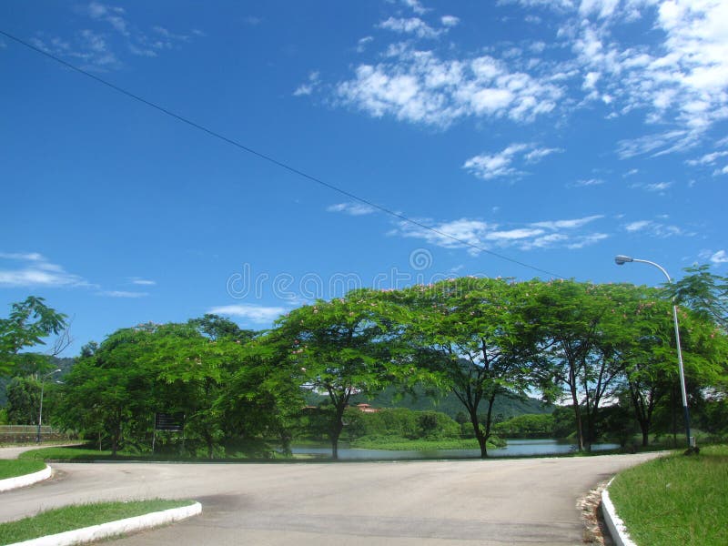 One Bright Sunny Day with Bright Colours of the Nature Stock Image ...