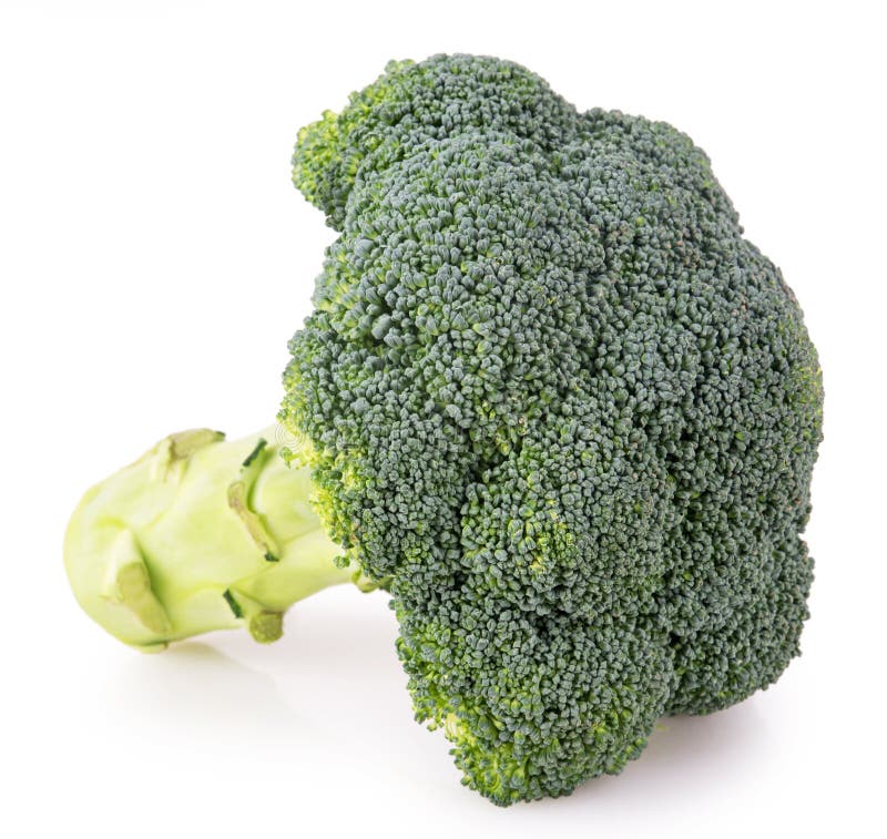 One Broccoli Close on a White Background Stock Image - Image of organic ...