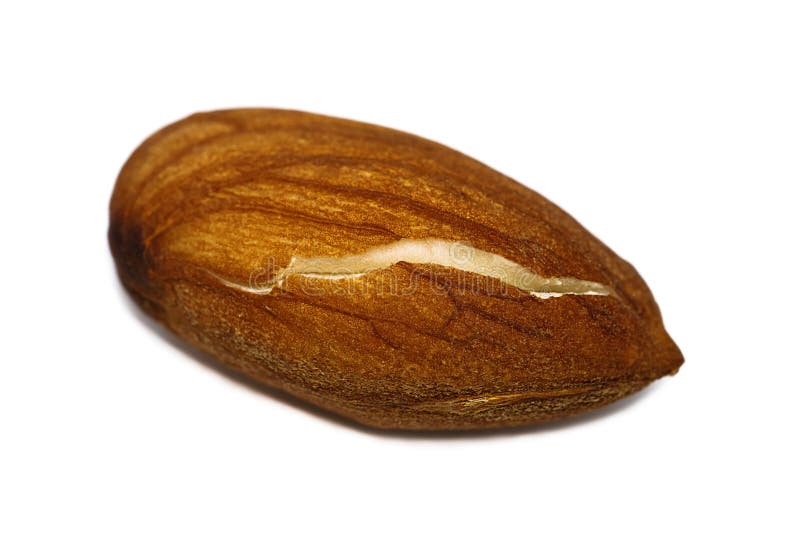 One Broken Almond Isolated on White Background Stock Photo - Image of ...