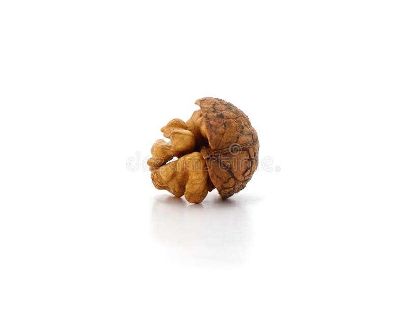 One broken nut stock image. Image of food, falling, organic - 330603457