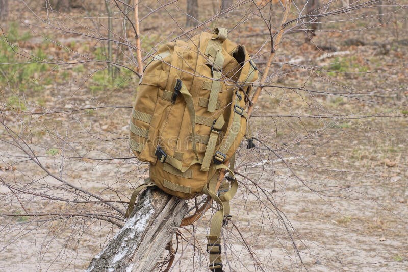One Brown Army Backpack Stands on a Fallen Ancient Tree Stock ...