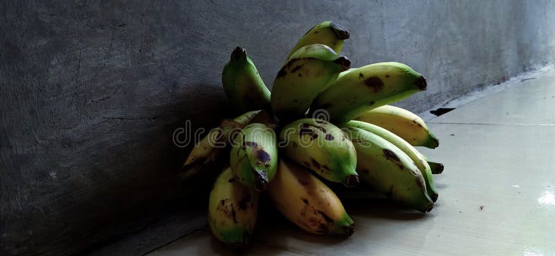 One bunch of ripe bananas stock image. Image of leaf - 281289131