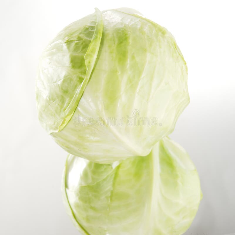 One cabbage on the mirror stock image. Image of ingredient - 19822853