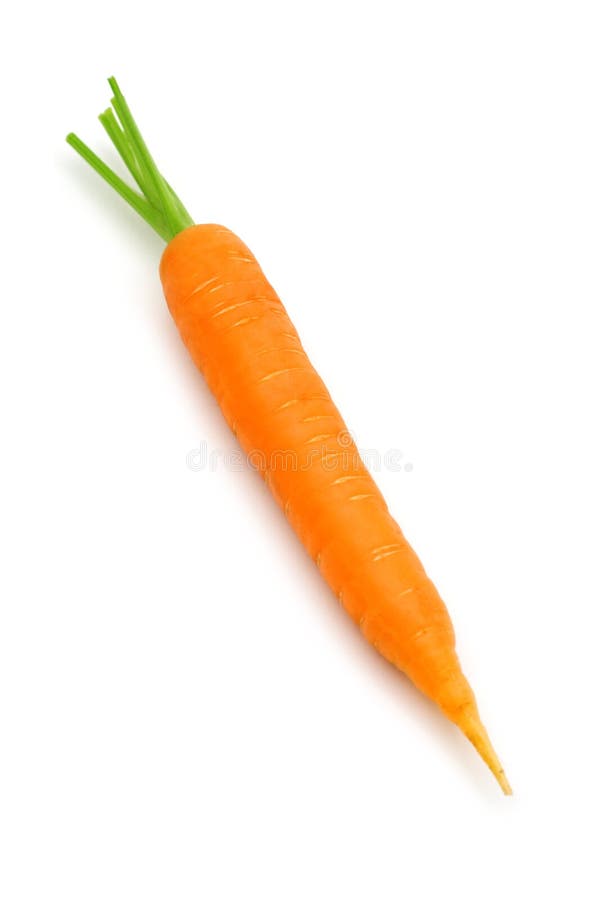 13,060 One Carrot Photos - Free & Royalty-Free Stock Photos from Dreamstime