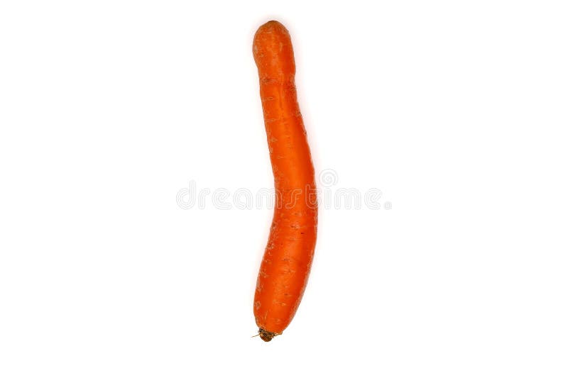 One Carrot Counting Exercise on White Background Isolated Educational ...