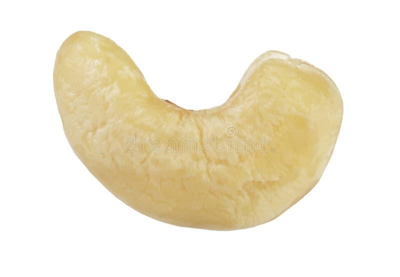 One cashew nut stock photo. Image of food, fruit, brown - 44216936