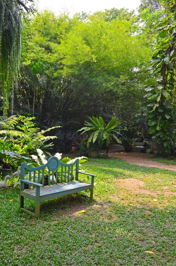 One Chair in Garden stock photo. Image of wooden, season - 39854486
