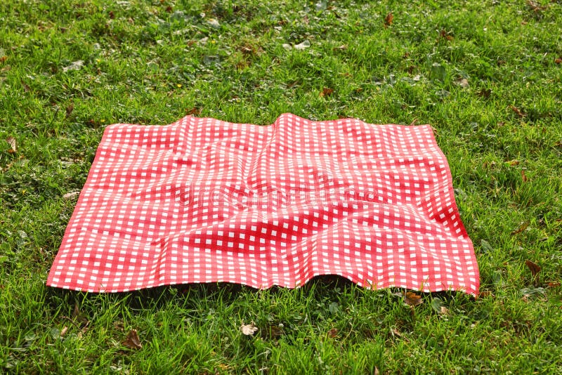 One Checkered Picnic Tablecloth on Green Grass Stock Photo - Image of ...