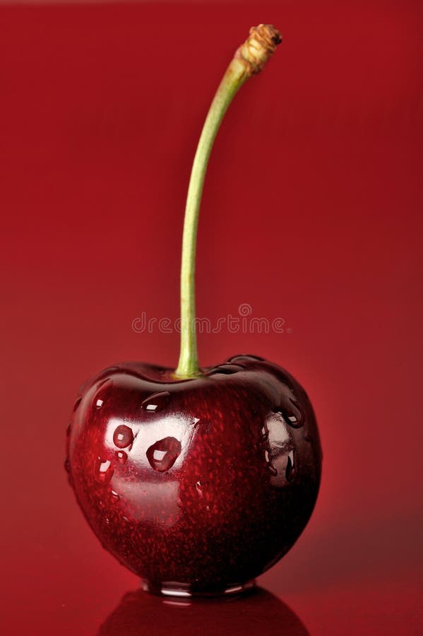 One Cherry stock photo. Image of fruits, delicious, healthy - 23068074