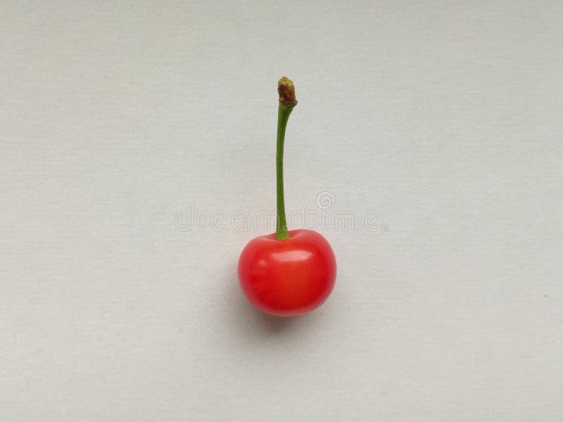 Cherry berry stock photo. Image of ripe, cherry, organ - 388143392
