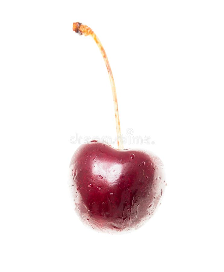 One Cherry on a White Background Stock Photo - Image of healthy, white ...