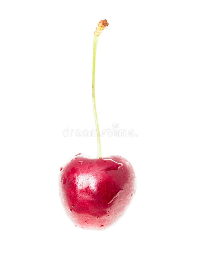 One Cherry on a White Background Stock Image - Image of white, healthy ...