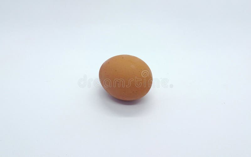 One Chicken egg stock photo. Image of concept, closeup - 346270746