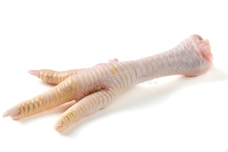 803 Chicken Paw Photos - Free & Royalty-Free Stock Photos from Dreamstime