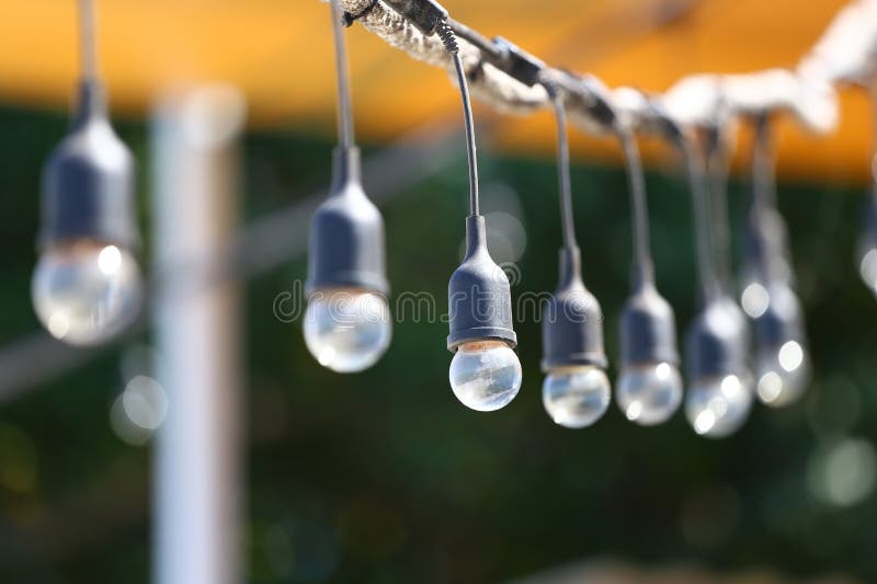 One Clearly Focused Light Bulb Stock Photo - Image of decor, equipment ...