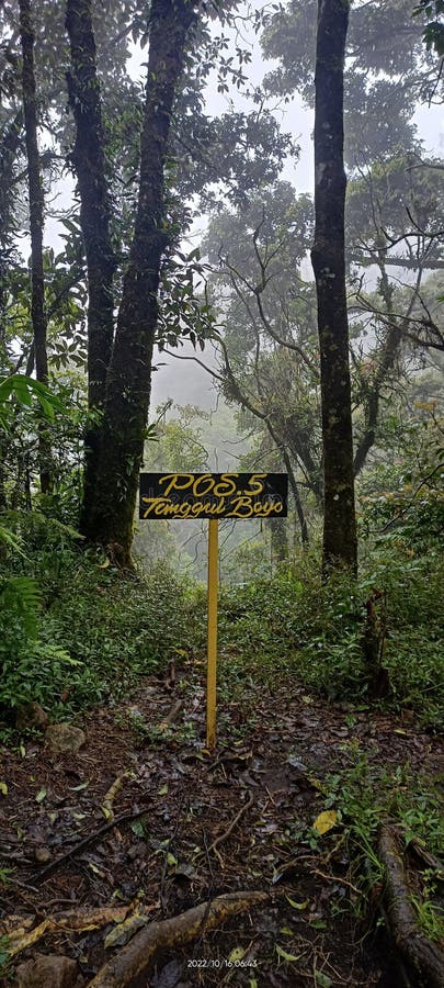 One of the Climbing Posts on Mount Ungaran, Central Java, Passing ...