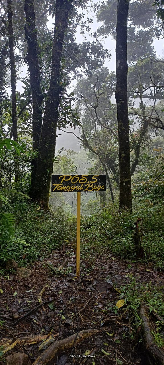 One of the Climbing Posts on Mount Ungaran, Central Java, Passing ...
