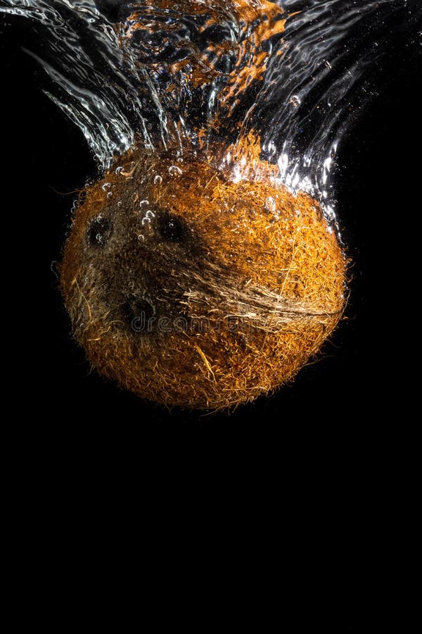 Coconut Falls into the Water Scattering a Lot of Splashes and Drops ...