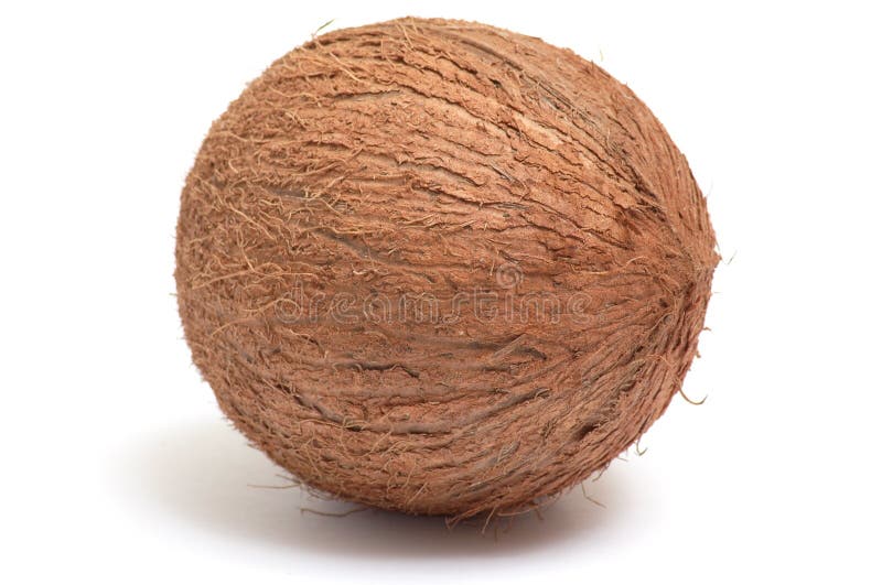One Coconut On A White Background. Picture Image: 8249501