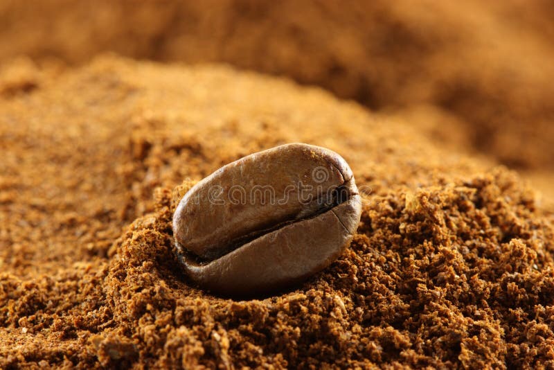 One coffee bean stock image. Image of large, bean, crop - 17179591
