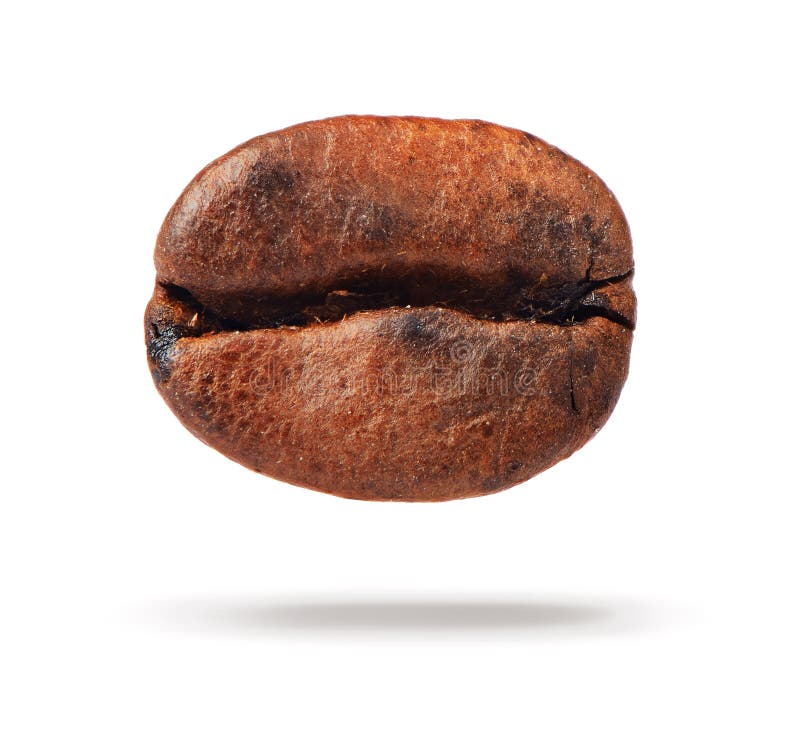 One Coffee Bean on White Background Stock Image - Image of grind ...