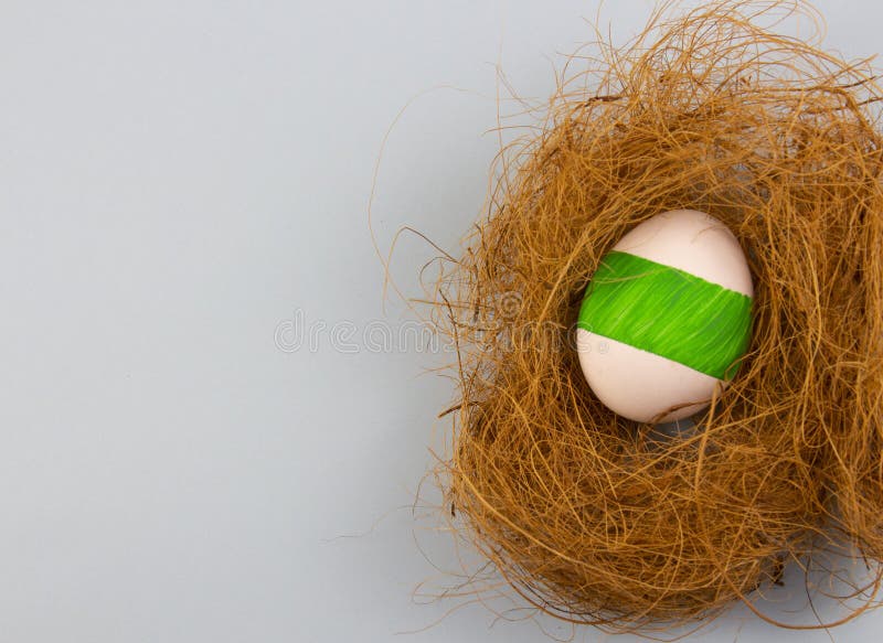 One Colored Egg on a Blue Background in a Nest of Copyspace for Text ...