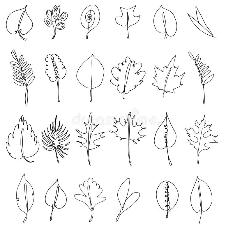Continuous Line Drawing Leaf Ecology Stock Illustrations – 711 ...