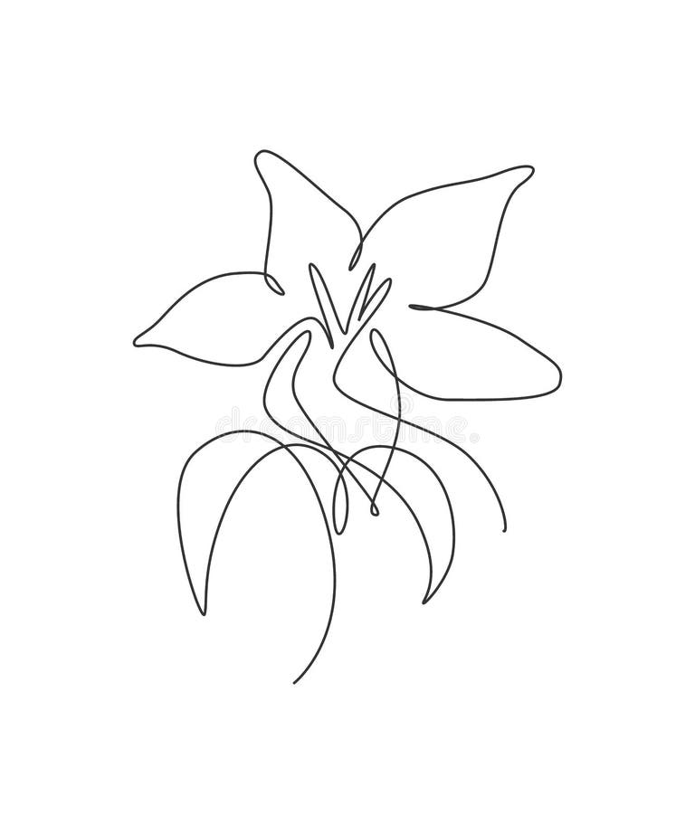 Continuous One Line Drawing Orchid Stock Illustrations 292 Continuous