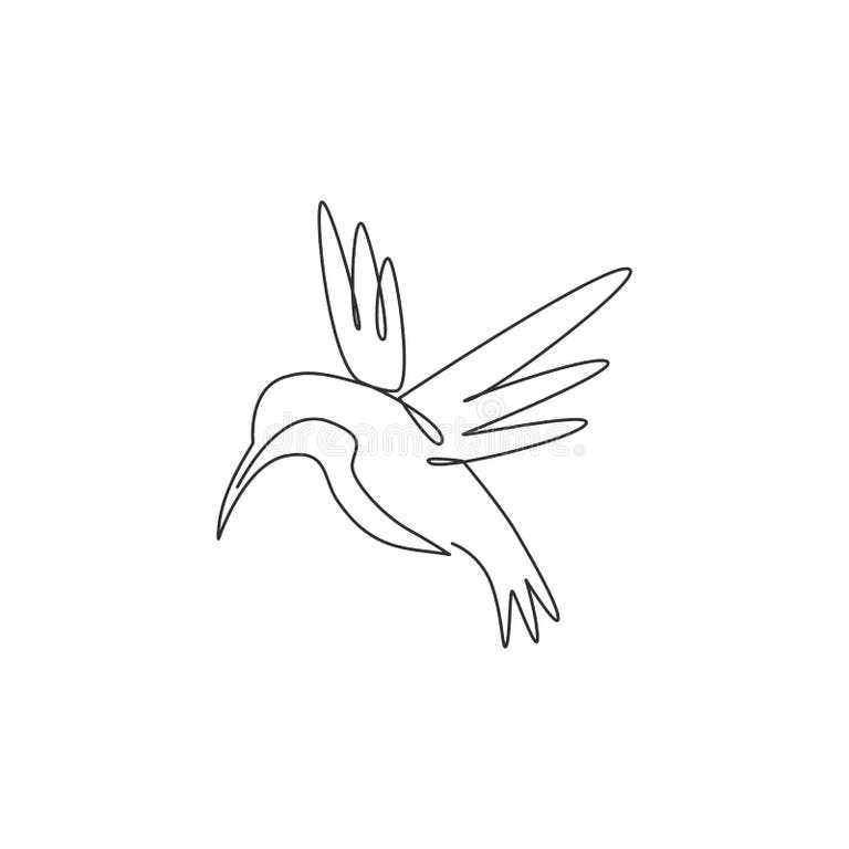 Continuous Line Drawing Hummingbird Stock Illustrations 267