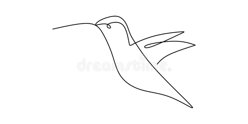 Continuous Line Drawing Hummingbird Stock Illustrations 267