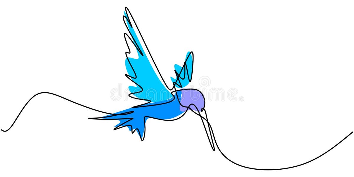 Continuous Line Drawing Hummingbird Stock Illustrations 267