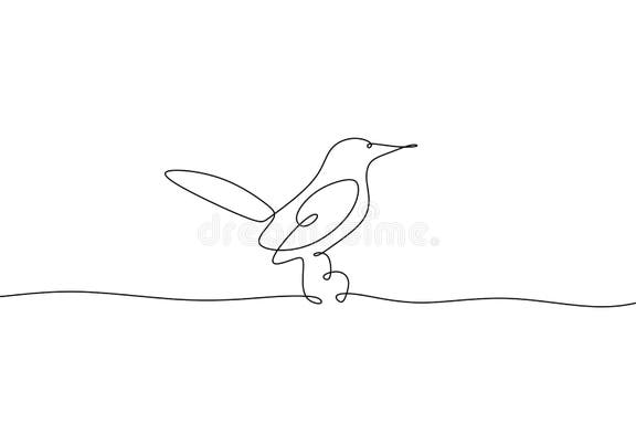 Continuous Line Drawing Hummingbird Stock Illustrations 248