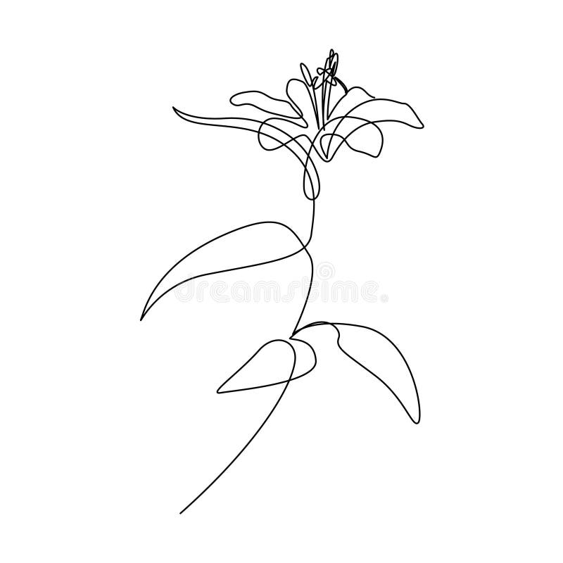 Single Flower Line Drawing Stock Illustrations – 17,158 Single Flower ...
