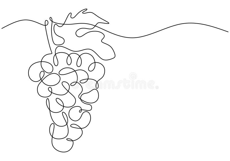 Fruit Line Grapes Stock Illustrations – 5,957 Fruit Line Grapes Stock ...