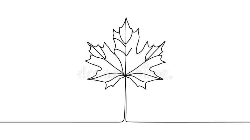 One Continuous Line Drawing of Isolated Vector Object - Maple Leaf ...