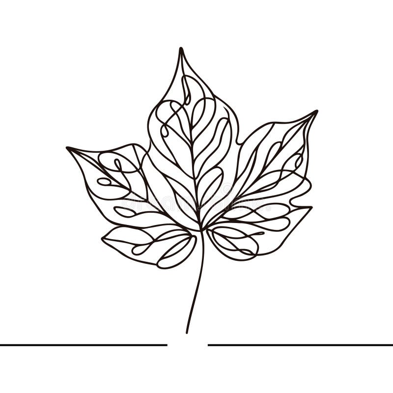 Vector Maple Leaf Line Drawing Stock Illustrations – 3,845 Vector Maple ...