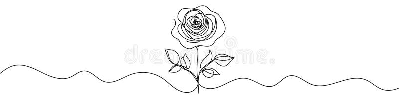 One Continuous Line Illustration of a Rose. Line Art of Rose Stock ...