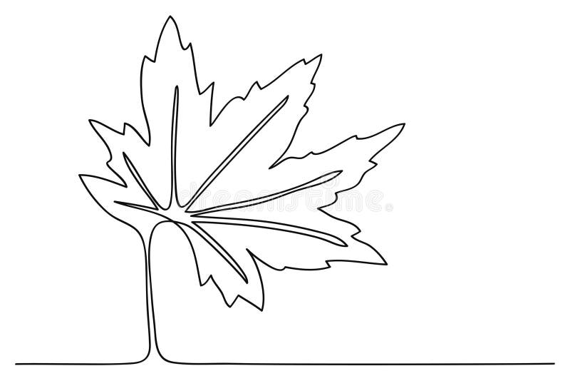 Maple Branch Line Drawing Stock Illustrations – 1,975 Maple Branch Line ...