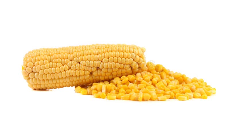 One Corn Cob and Handful Canned Corns. Stock Image - Image of energy ...