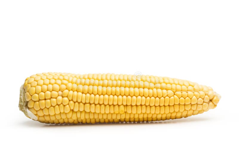 One corn in a cut out view stock image. Image of closeup - 127587263