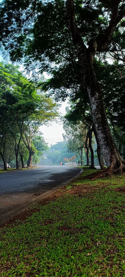 One Corner of the Road Leading To a Beautiful Park Stock Photo - Image ...