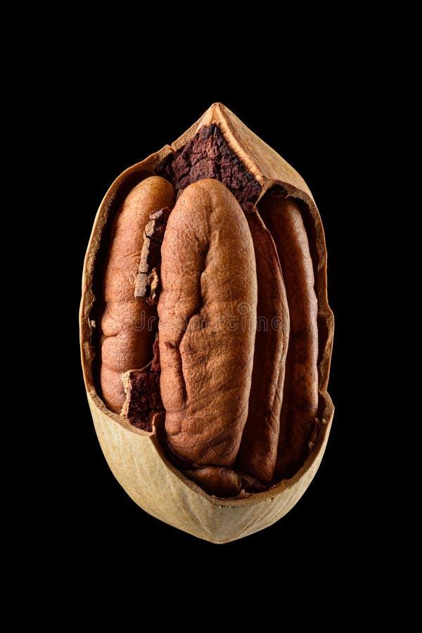 One Cracked Pecan Nut Isolated Black Background Stock Photos - Free & Royalty-Free Stock Photos ...