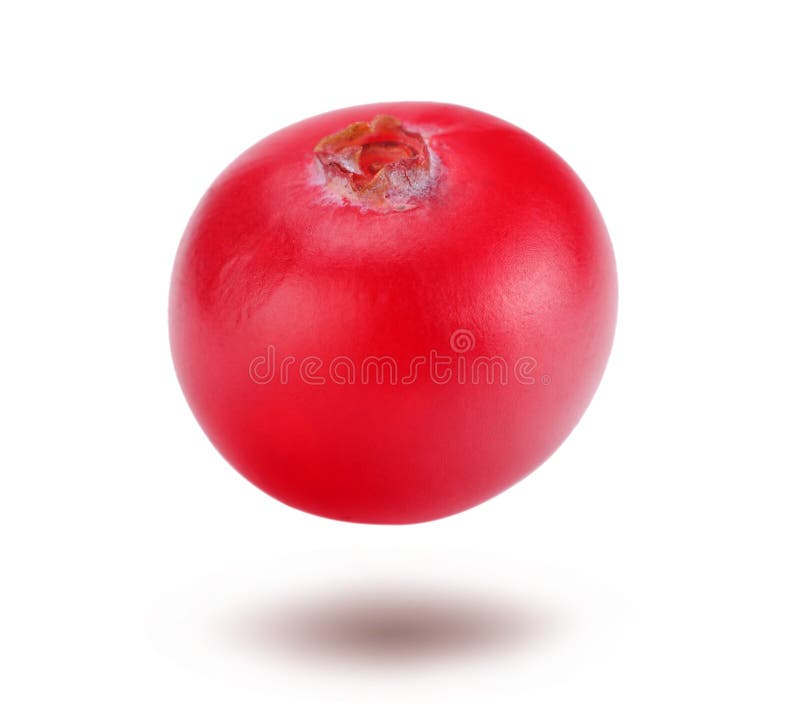 One Cranberry Isolated on White Background. Macro Stock Photo - Image ...
