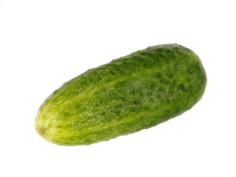 One Cucumber Picture. Image: 3030016