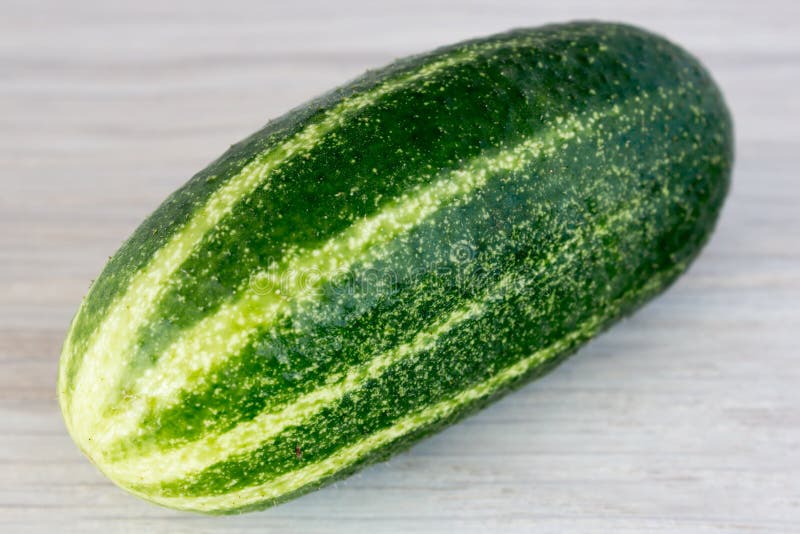 One cucumber stock photo. Image of wooden, healthy, ingredient - 87634026