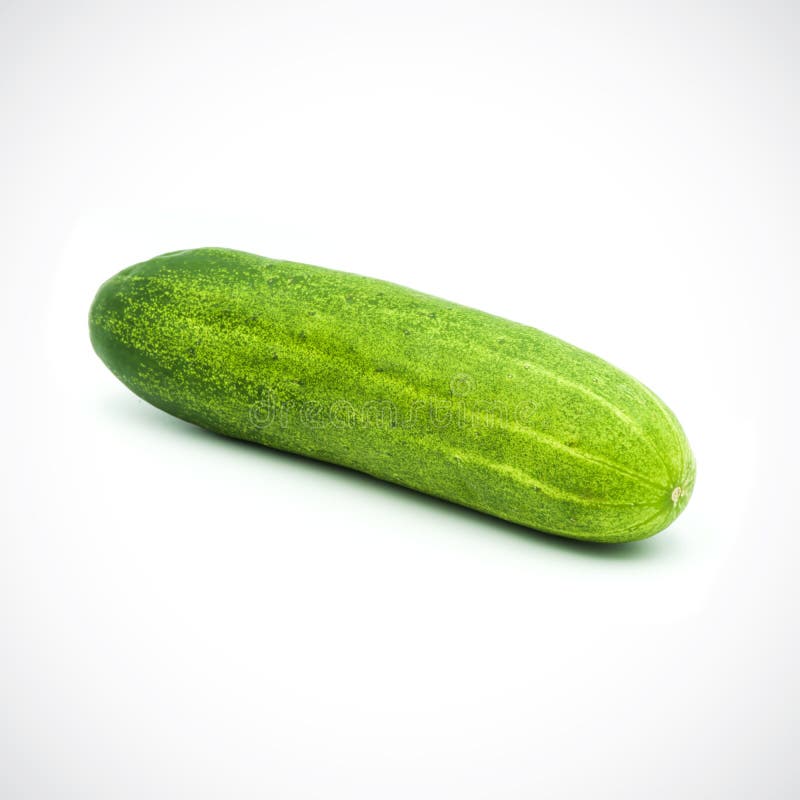 One Cucumber on a White Background Stock Photo - Image of plant ...