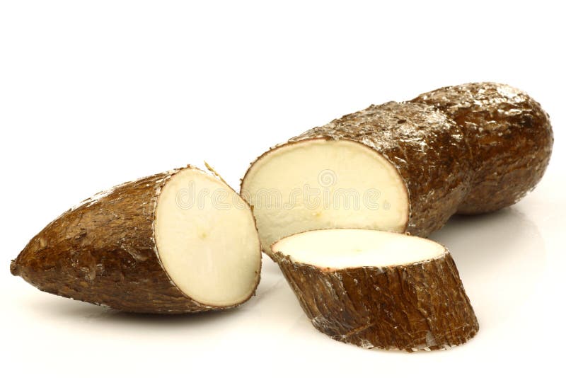 16,059 Cassava Stock Photos - Free & Royalty-Free Stock Photos from ...